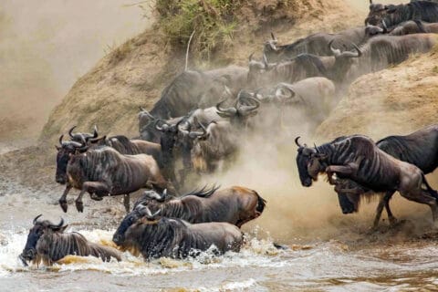 Zamara Private Safari Residence | The East African Traveller