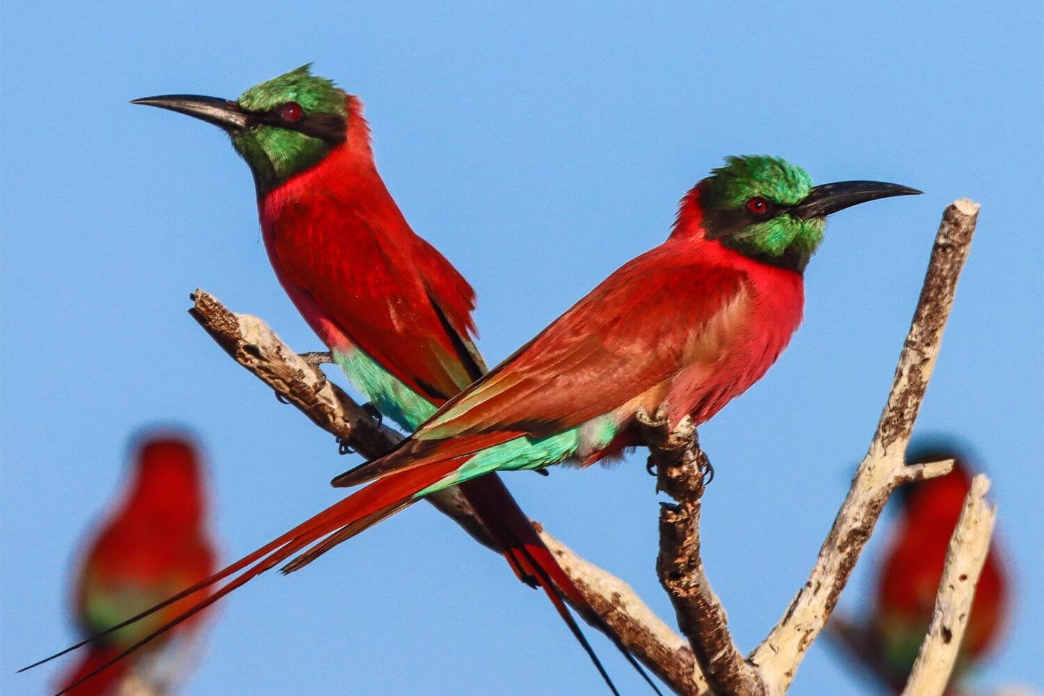 Manda Bay | The East African Traveller