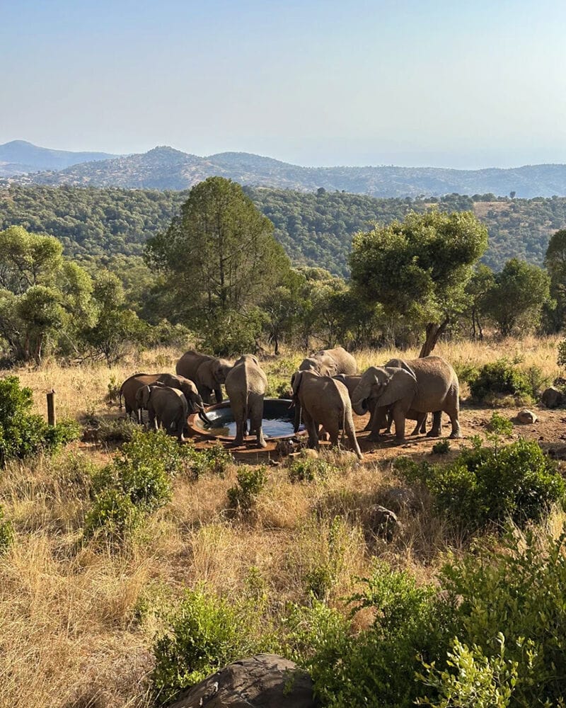 Kalepo Camp | The East African Traveller