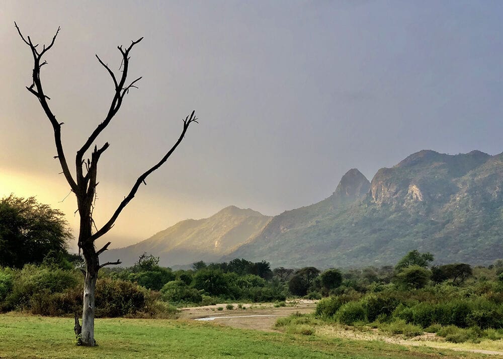 Kalepo Camp | The East African Traveller