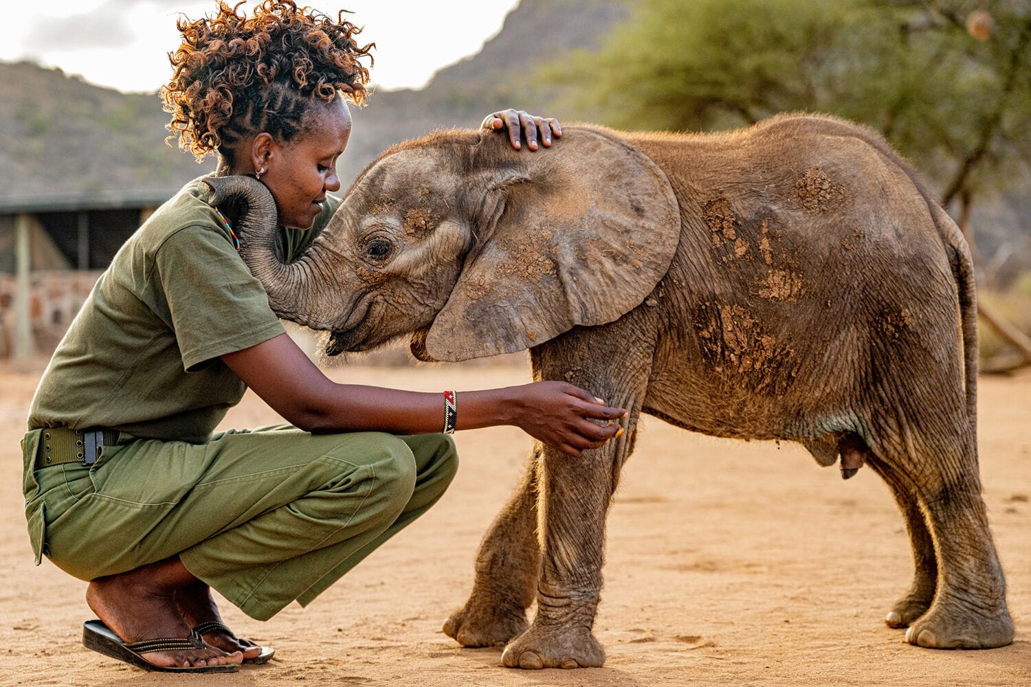 Kalepo Camp | The East African Traveller