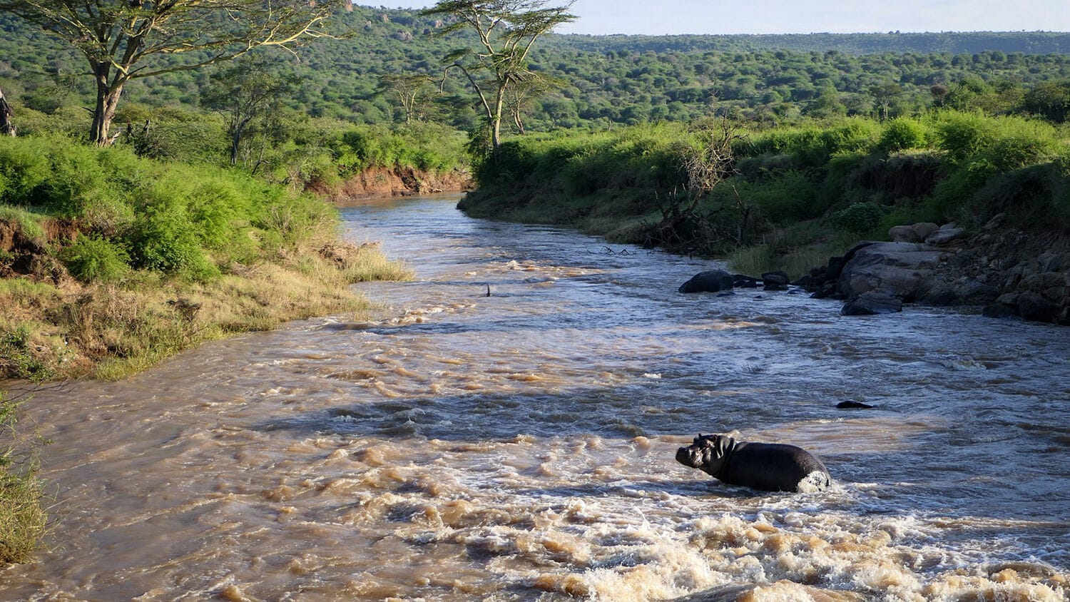 Suyian Lodge | The East African Traveller